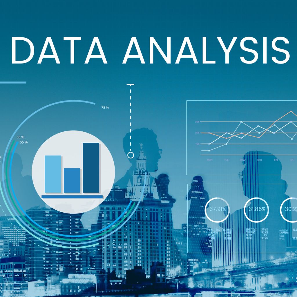 Data Analytics Services - DIGI GROW